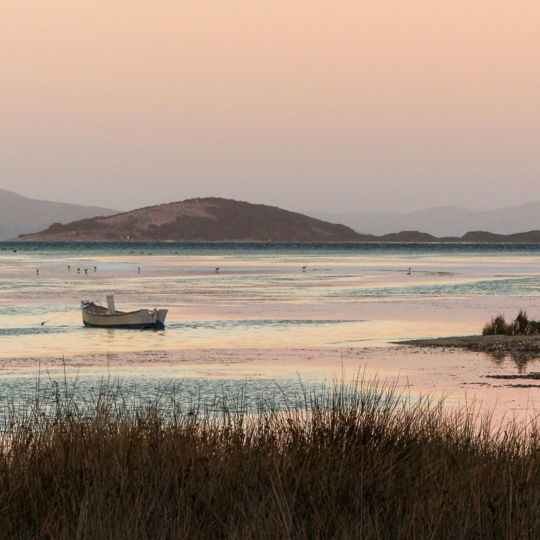 SouthSide Gallery | ArtSouthWA Inc